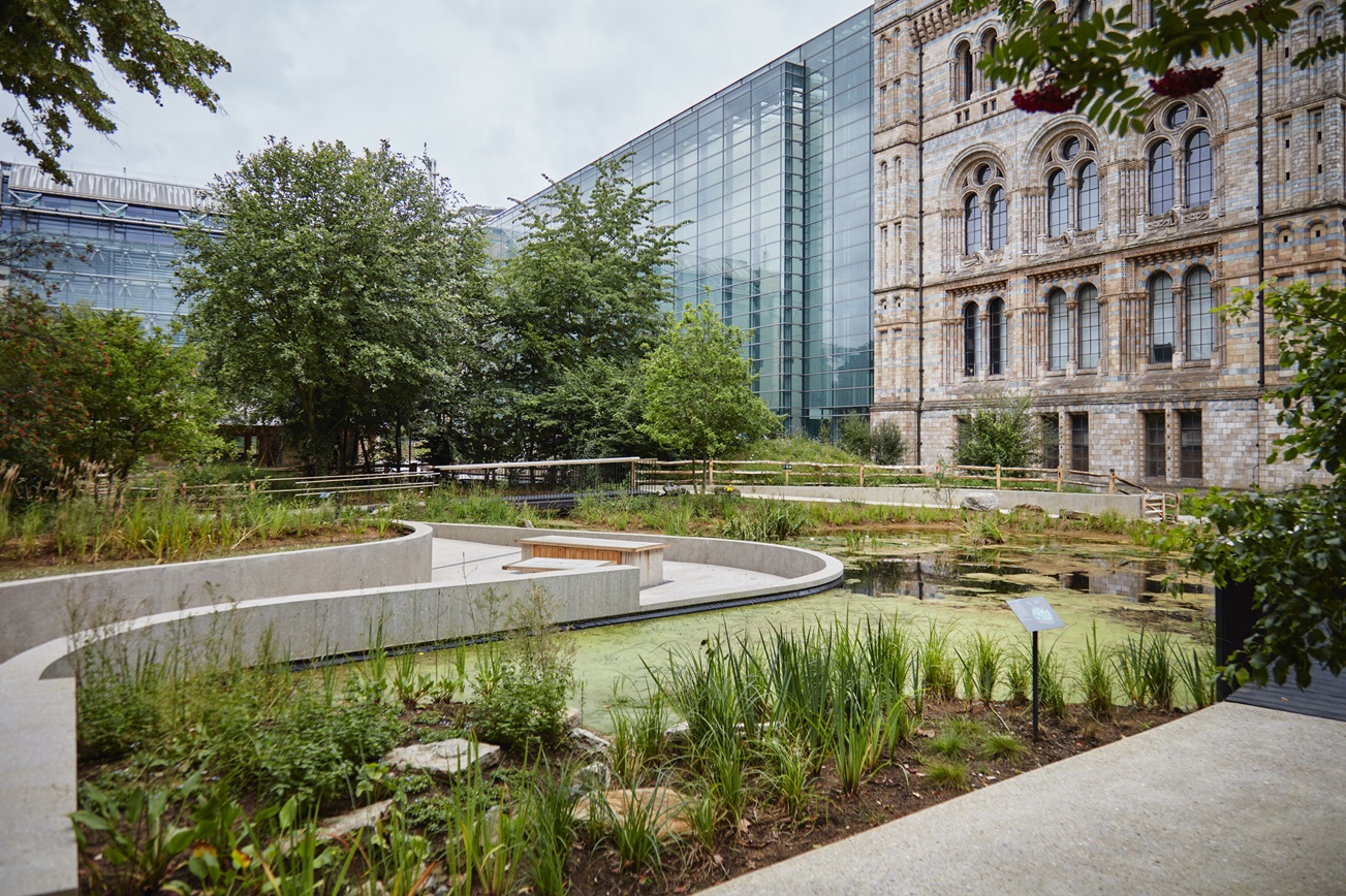 Feilden Fowles-designed learning centre opens in Natural History Museum ...