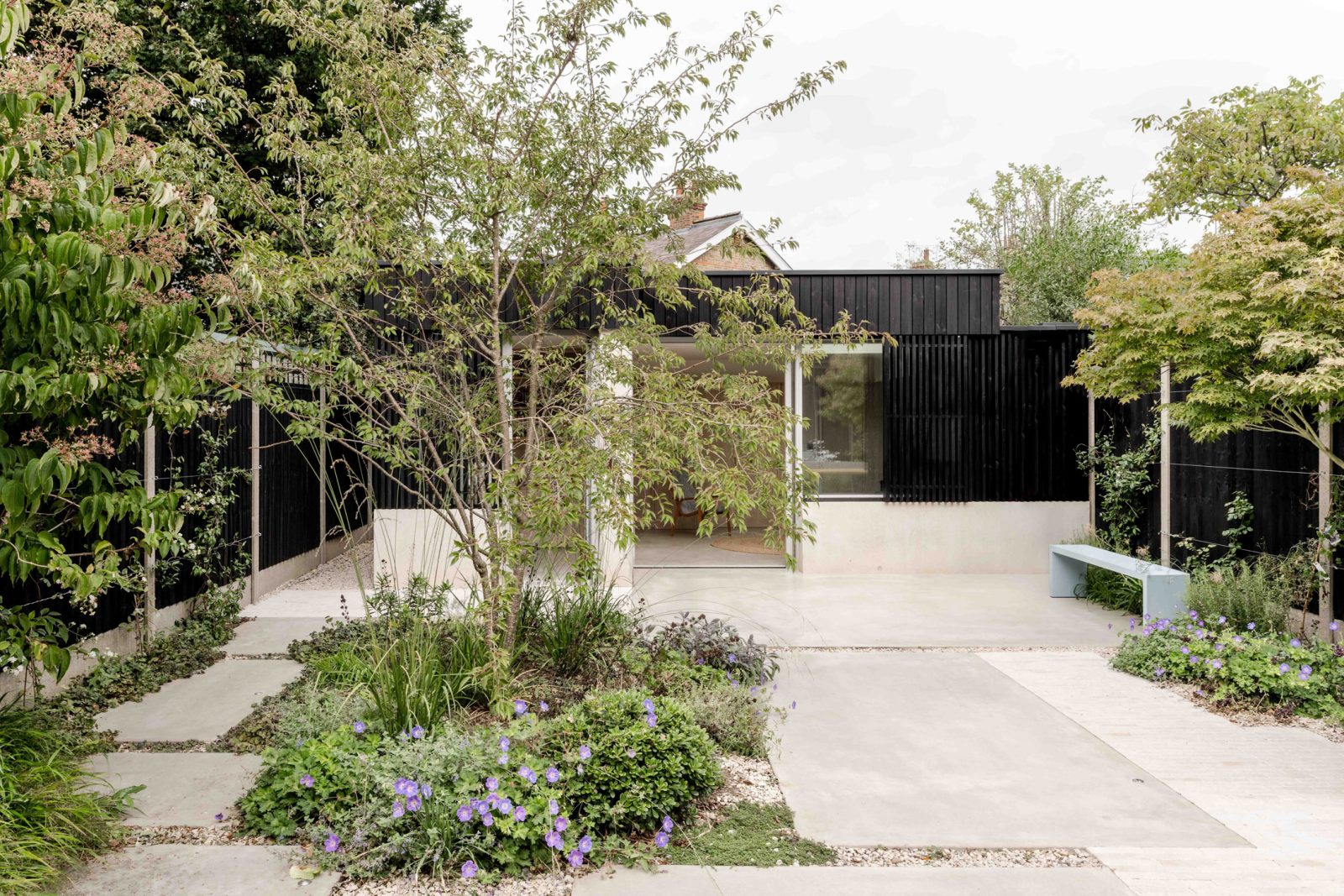 Matthew Giles Architects reworks suburban house with timber-clad extensions