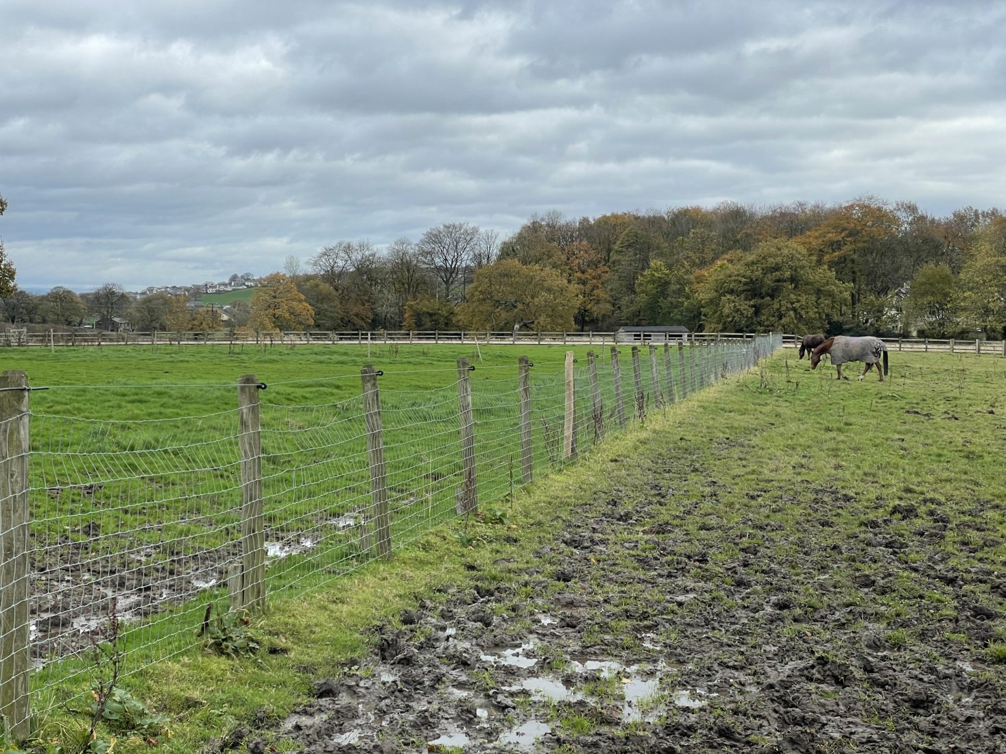 Shaw and Jagger wins appeal for Neoclassical Para 84 house