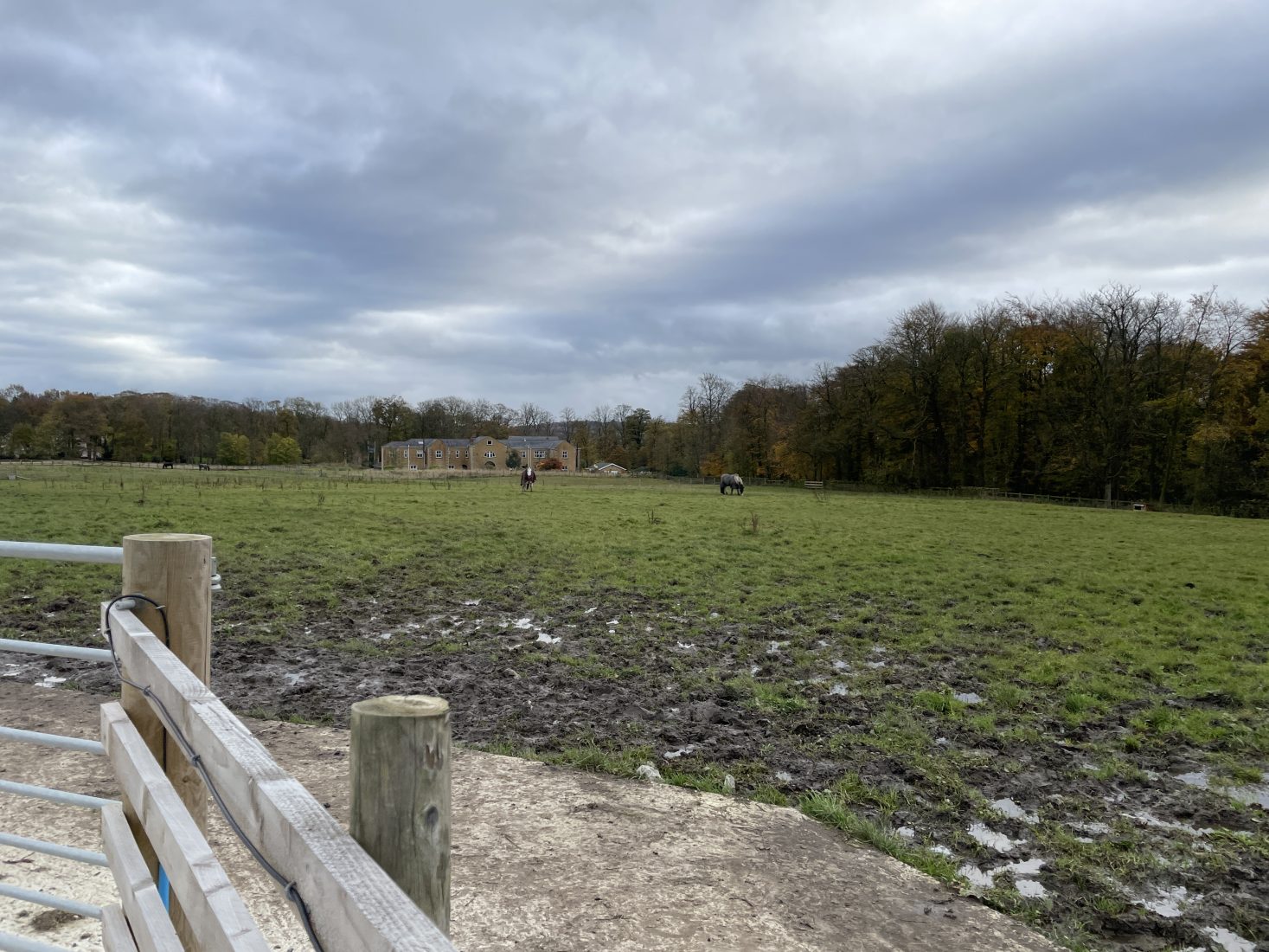 Shaw and Jagger wins appeal for Neoclassical Para 84 house