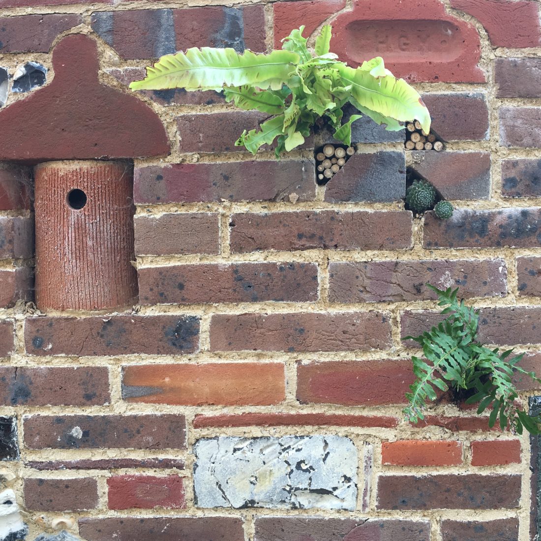 Kirkland Fraser Moor builds ‘bungaroosh’ Paragraph 84 home