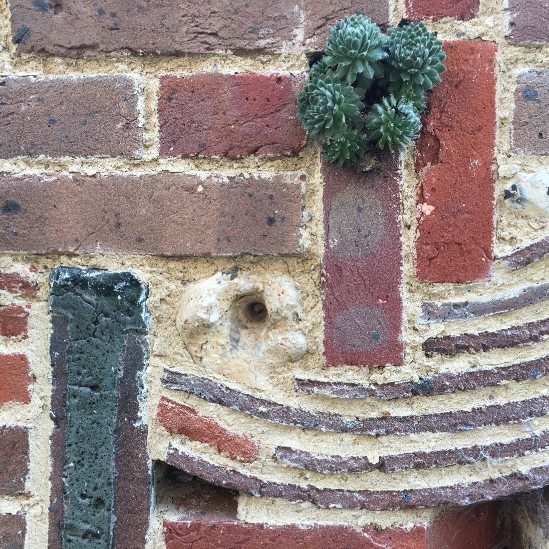 Kirkland Fraser Moor builds ‘bungaroosh’ Paragraph 84 home