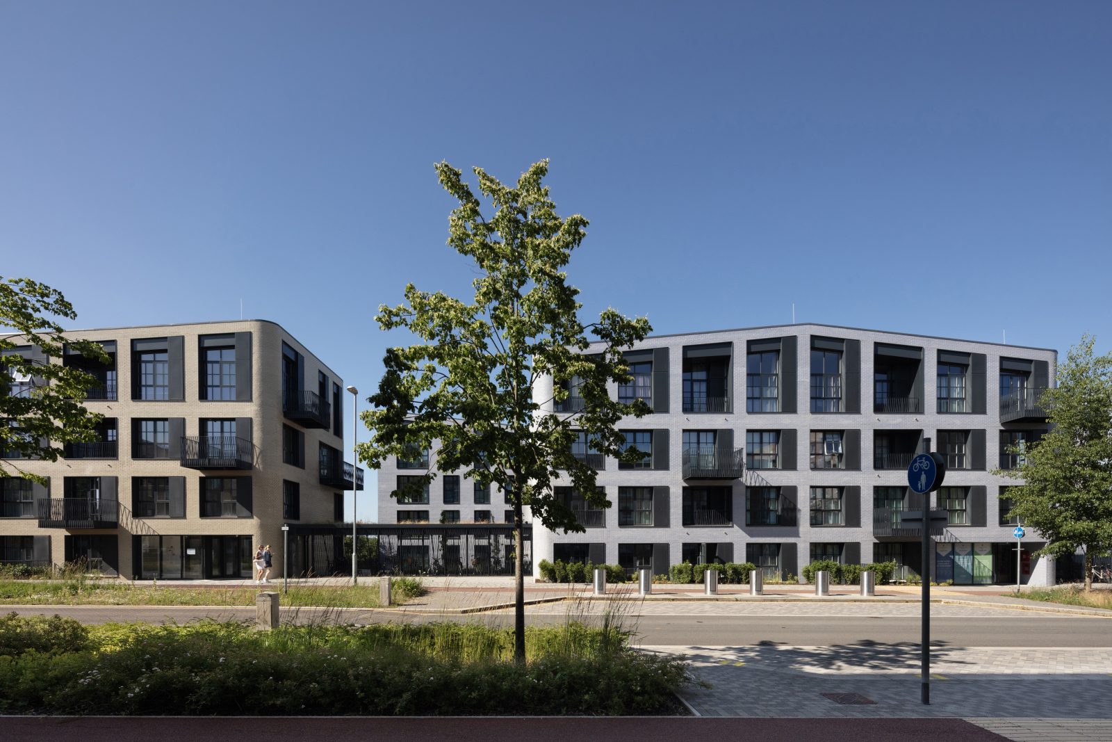 Housing shortlists revealed for AJ Architecture Awards 2024