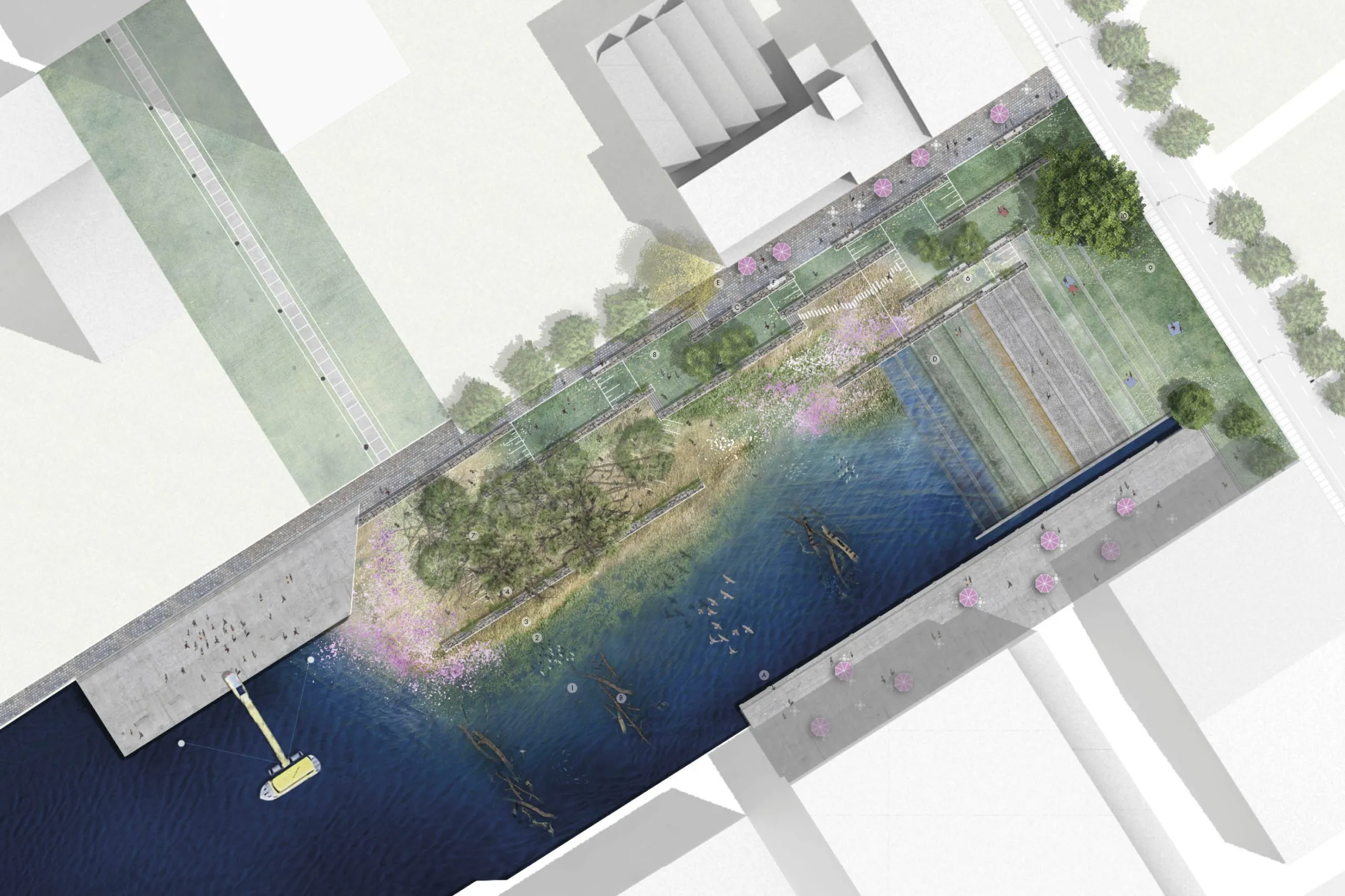 How ‘sponge city’ Rotterdam is adapting to climate change