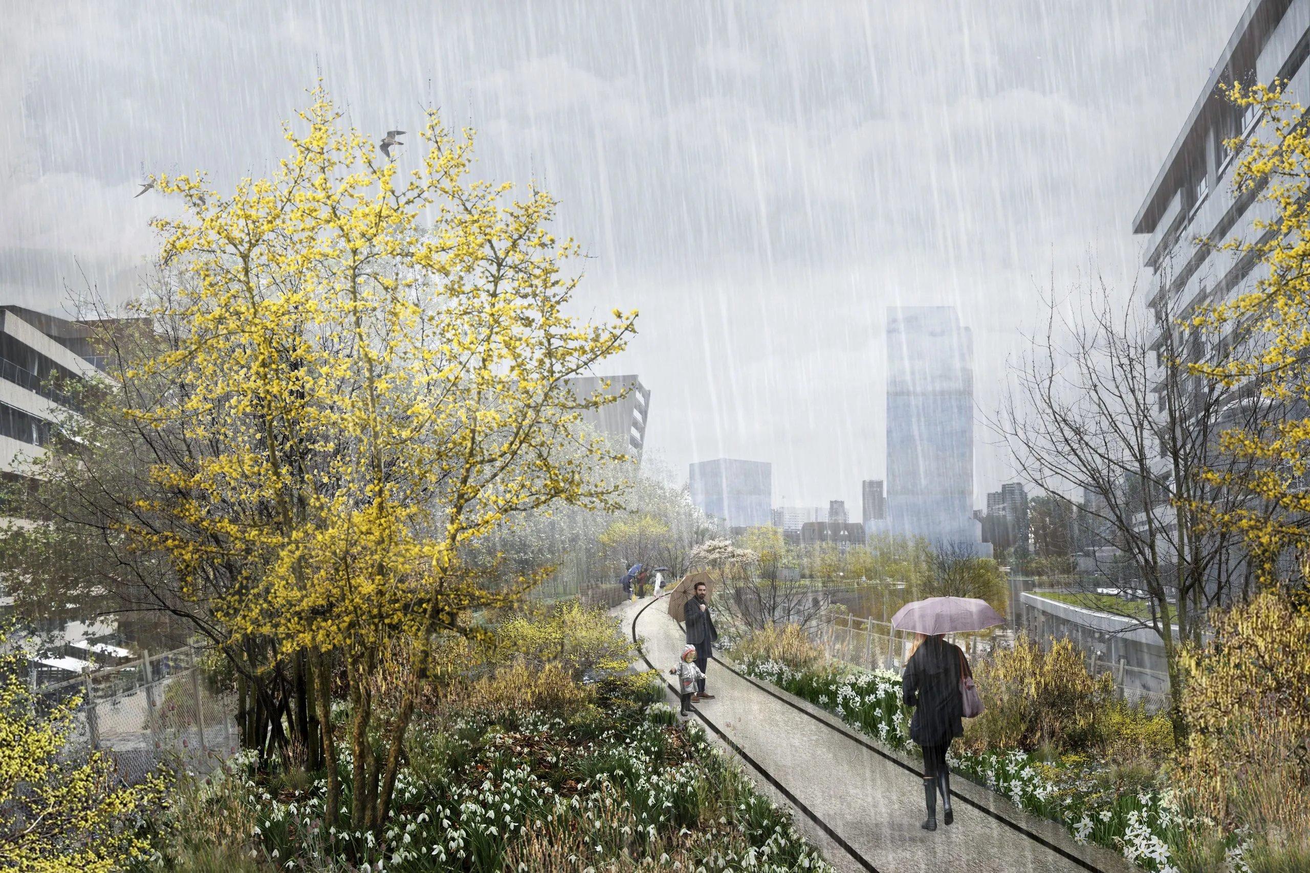 How ‘sponge city’ Rotterdam is adapting to climate change