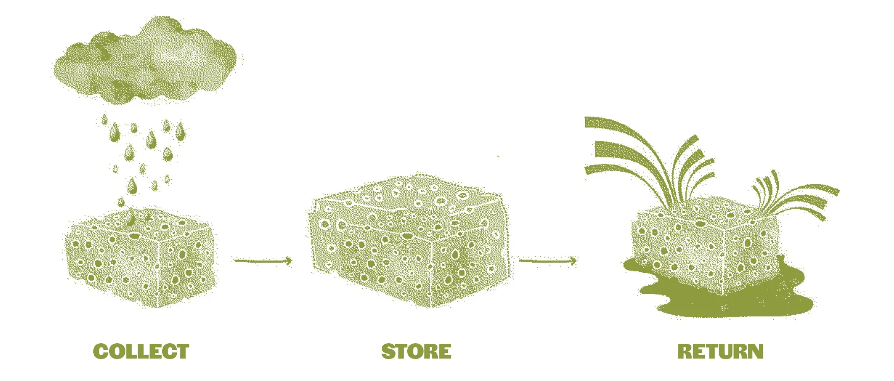 How ‘sponge city’ Rotterdam is adapting to climate change
