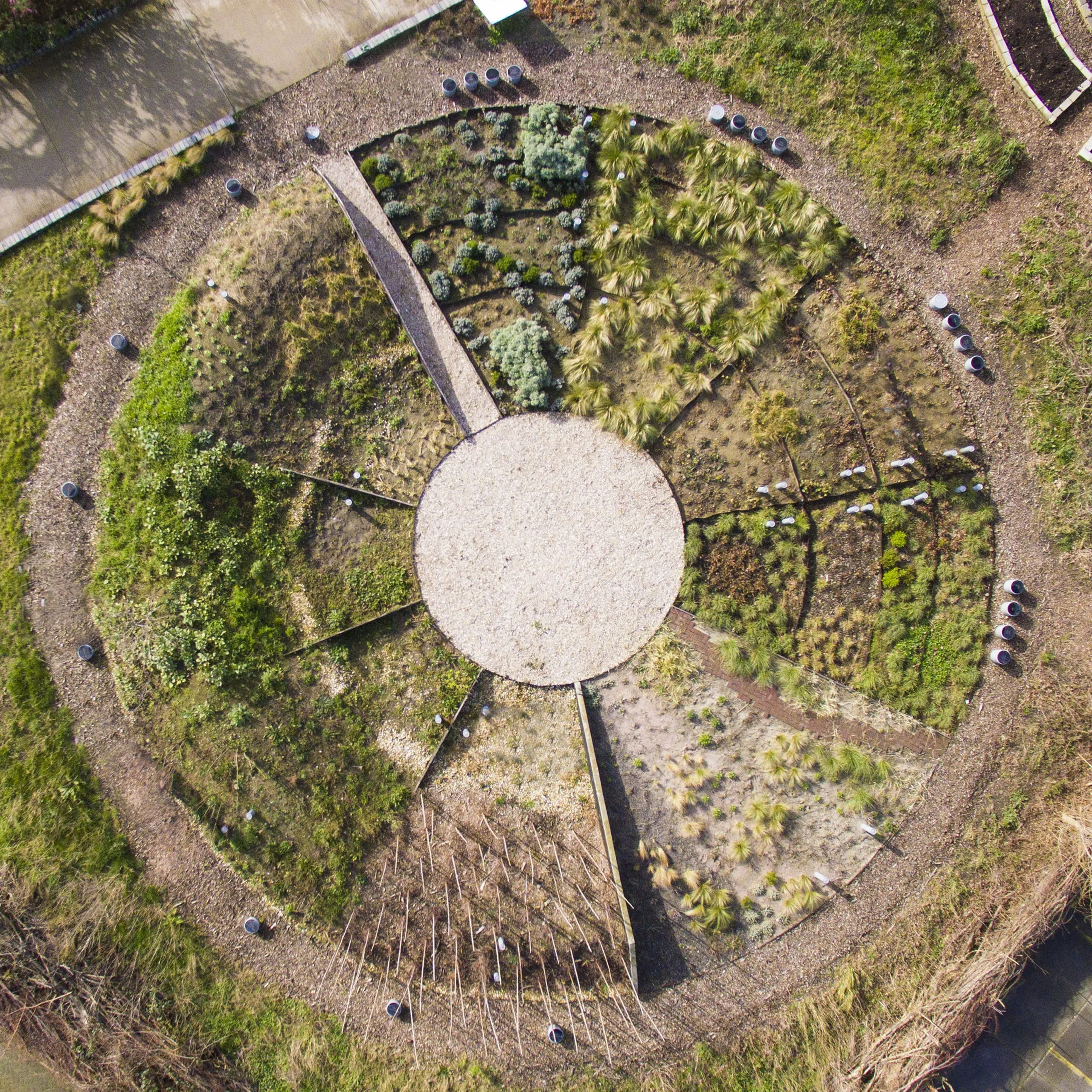 How ‘sponge city’ Rotterdam is adapting to climate change