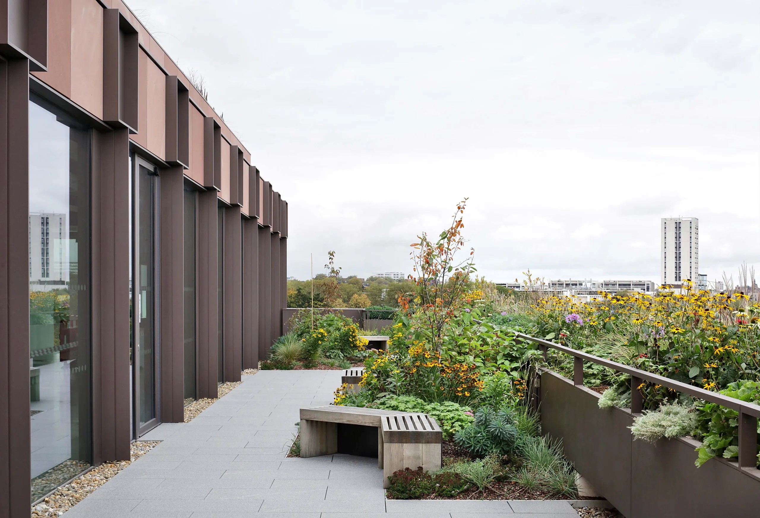 Caruso St John’s St Pancras Campus: one block, many uses