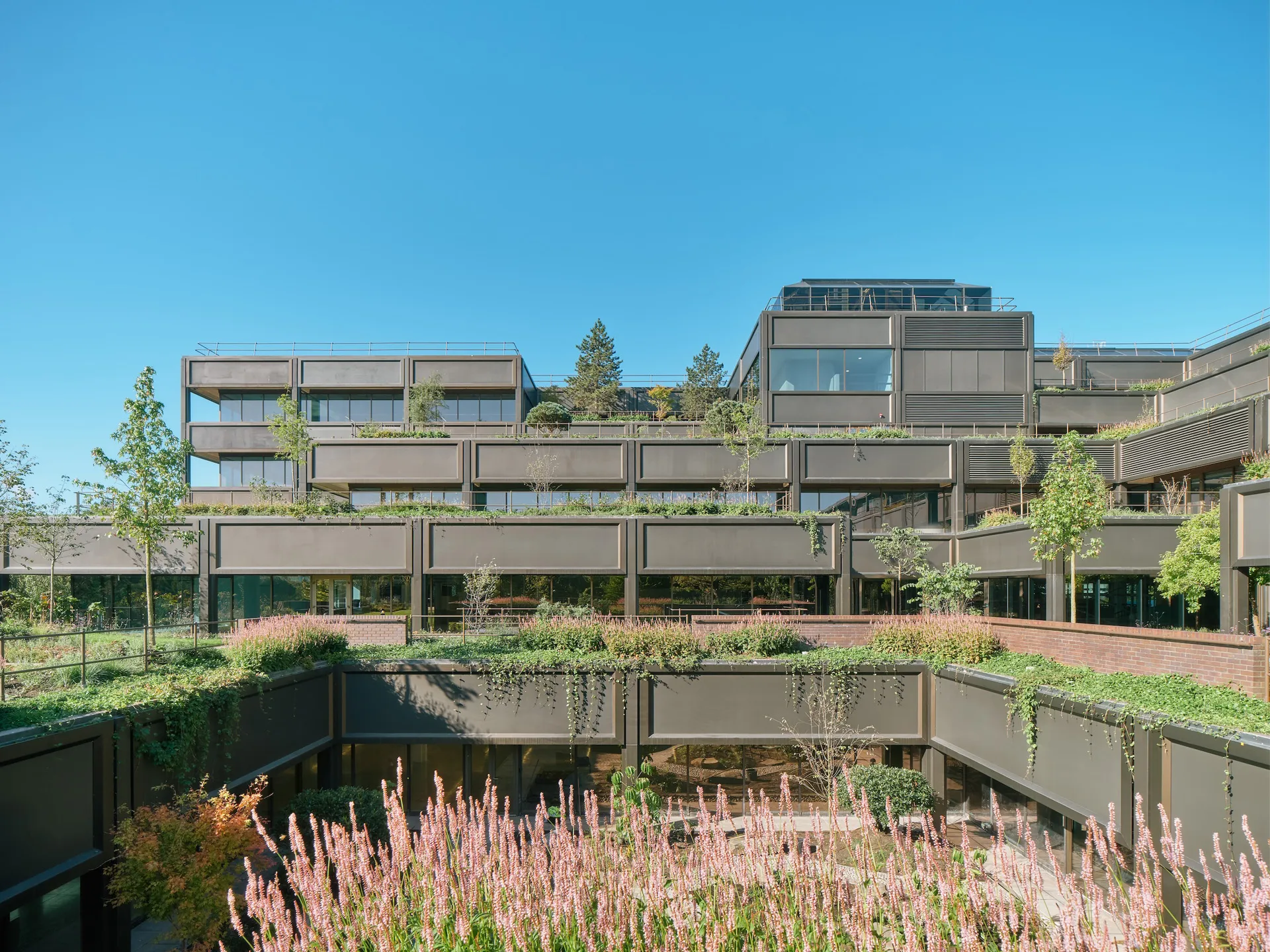 Twelve Architects delivers FCBS’s ‘Hanging Gardens of Basingstoke’ retrofit