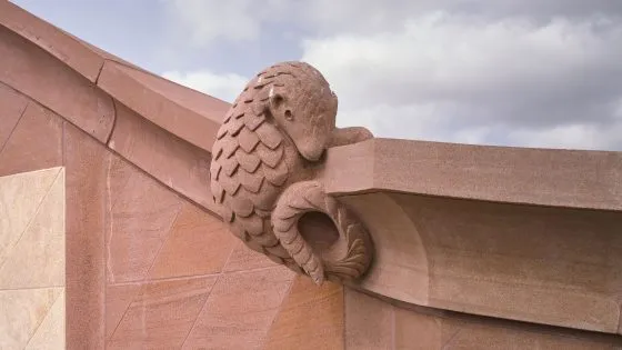 Building with natural materials promotes sustainability, circularity ...