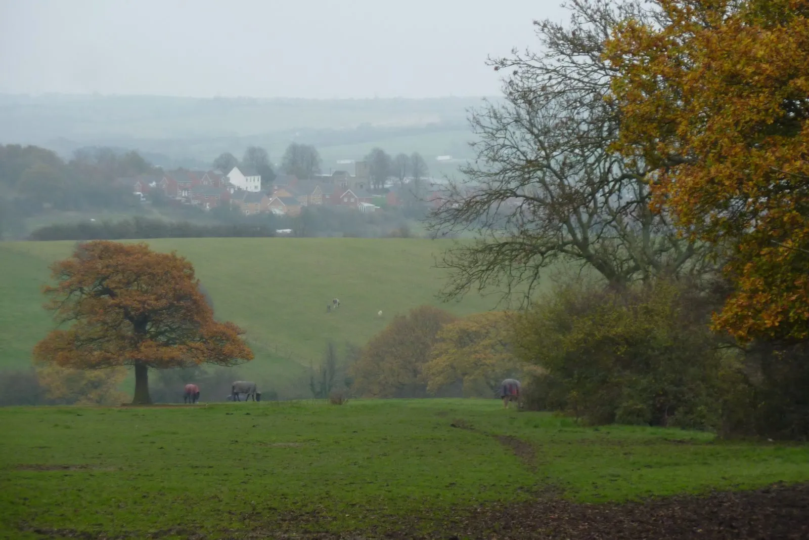 Pinxton Community Hub