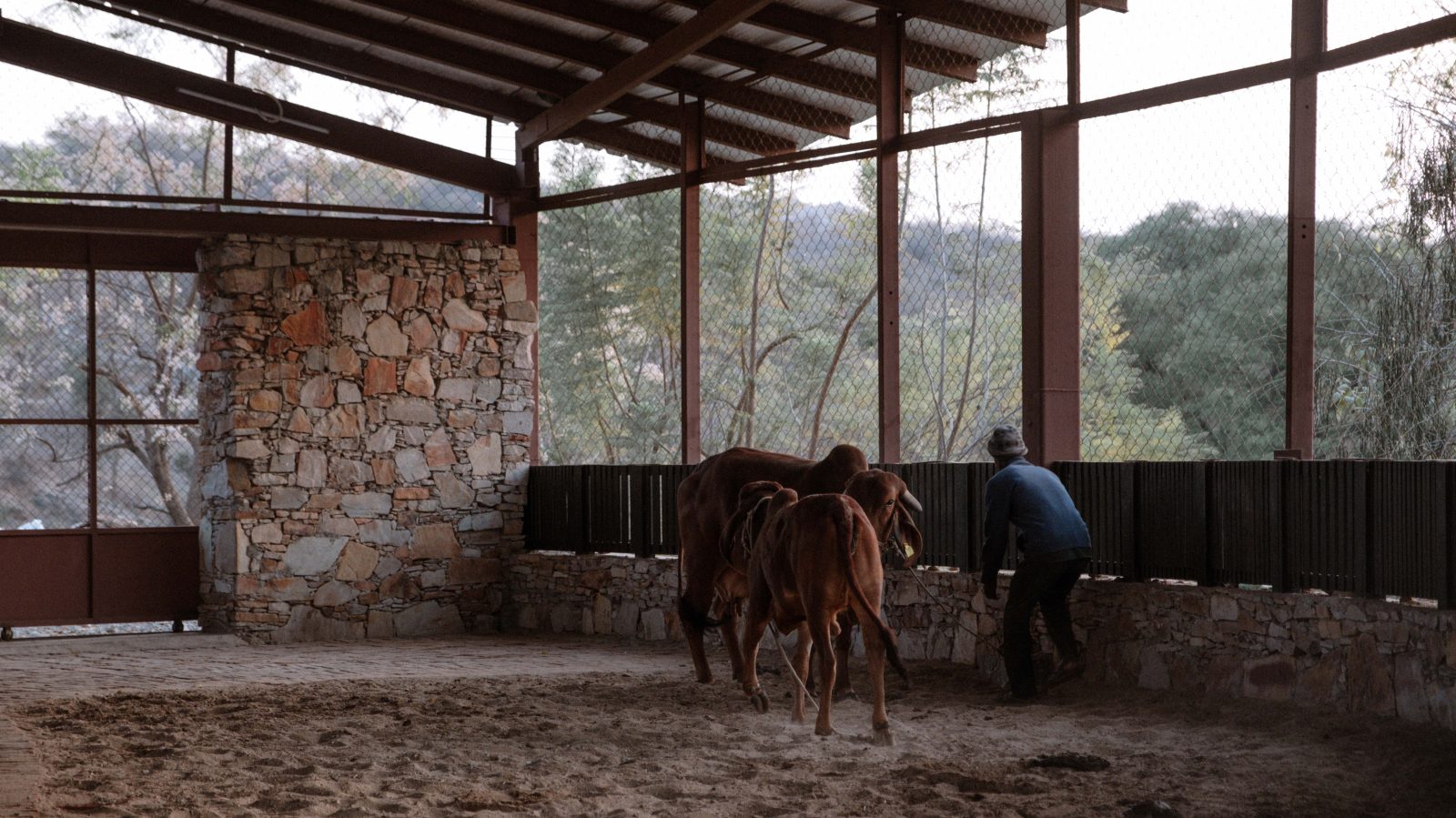 Studio Saar completes cowshed made from reclaimed materials