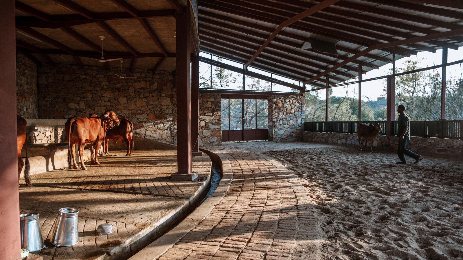 Studio Saar completes cowshed made from reclaimed materials