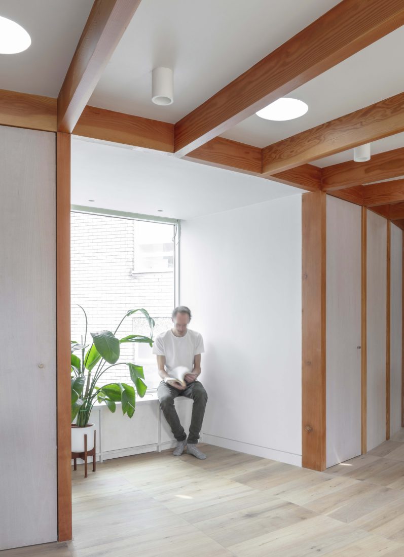 Vine Architecture Studio completes curving rooftop flat