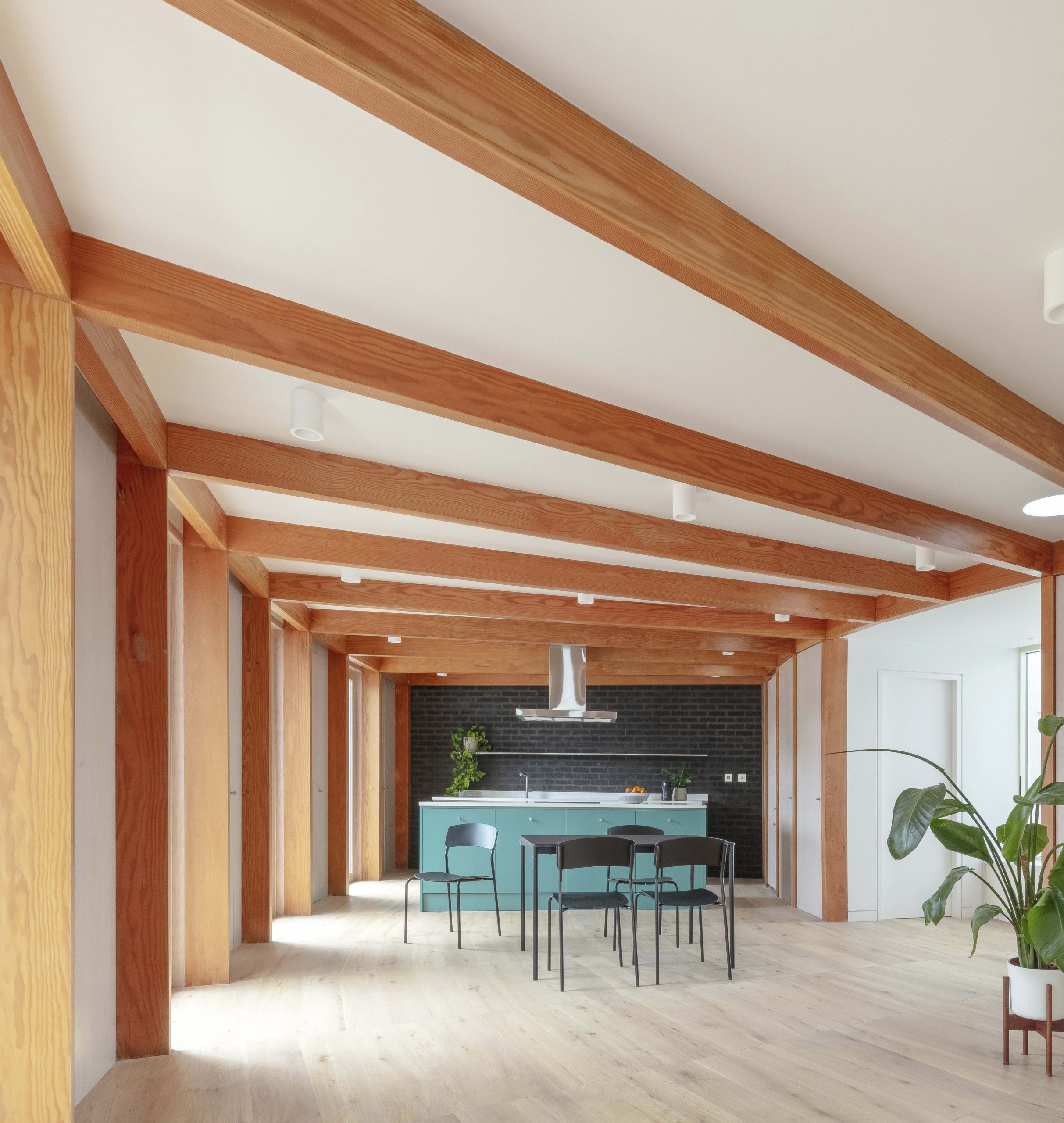 Vine Architecture Studio completes curving rooftop flat