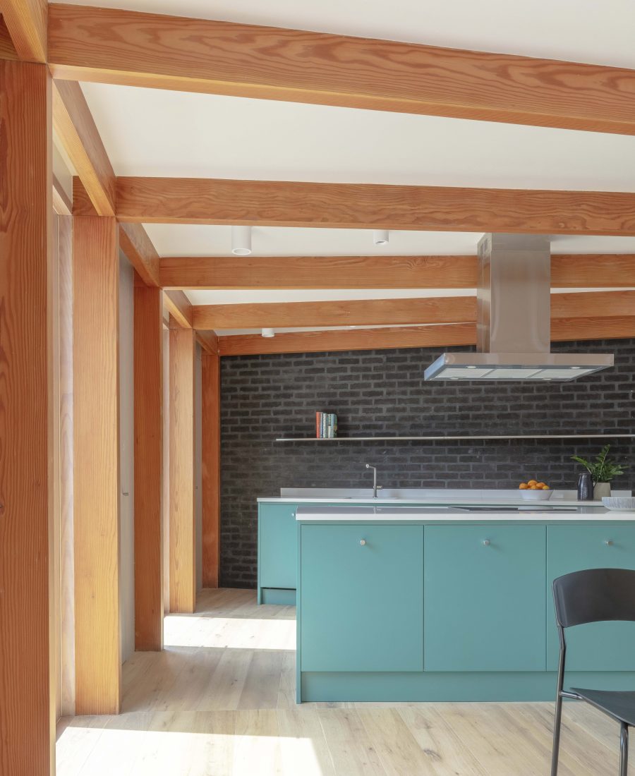 Vine Architecture Studio completes curving rooftop flat