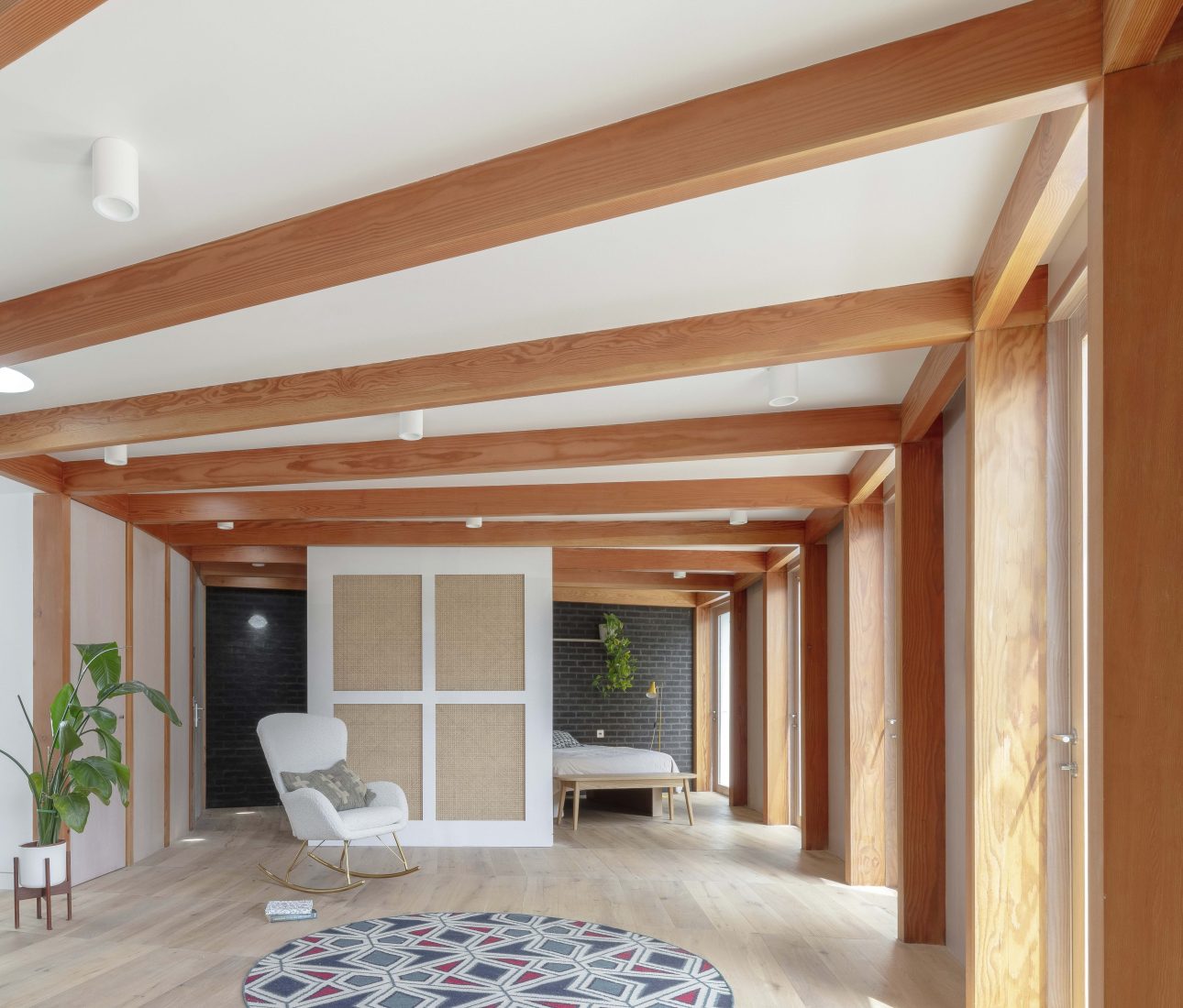 Vine Architecture Studio completes curving rooftop flat