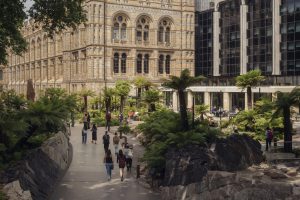 Feilden Fowles News – Latest Projects & Insights – The Architects’ Journal