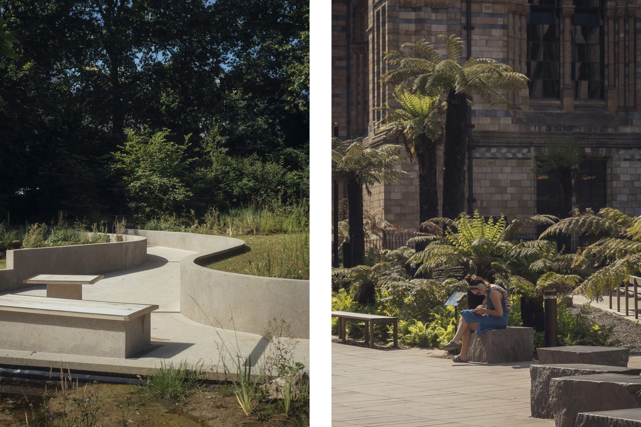 Urban nature: Feilden Fowles transforms Natural History Museum’s gardens