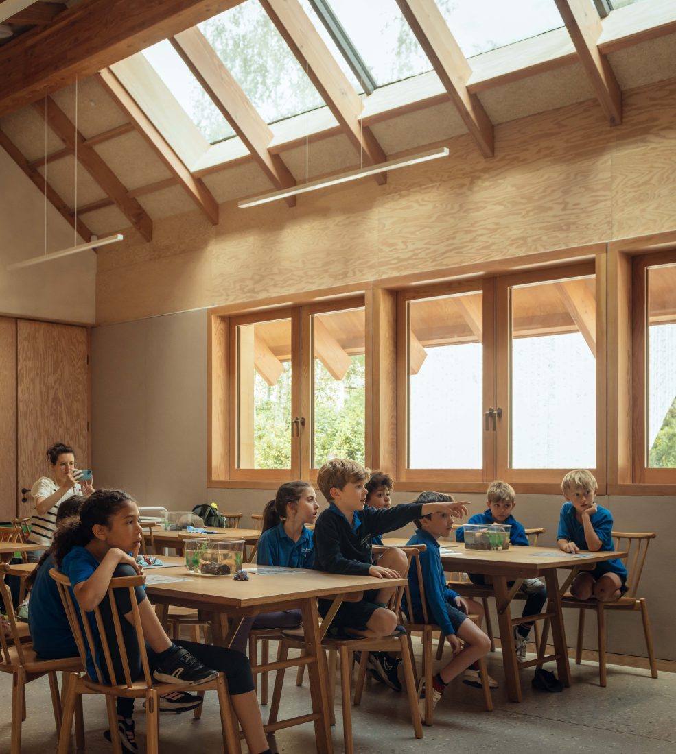 Urban nature: Feilden Fowles transforms Natural History Museum’s gardens