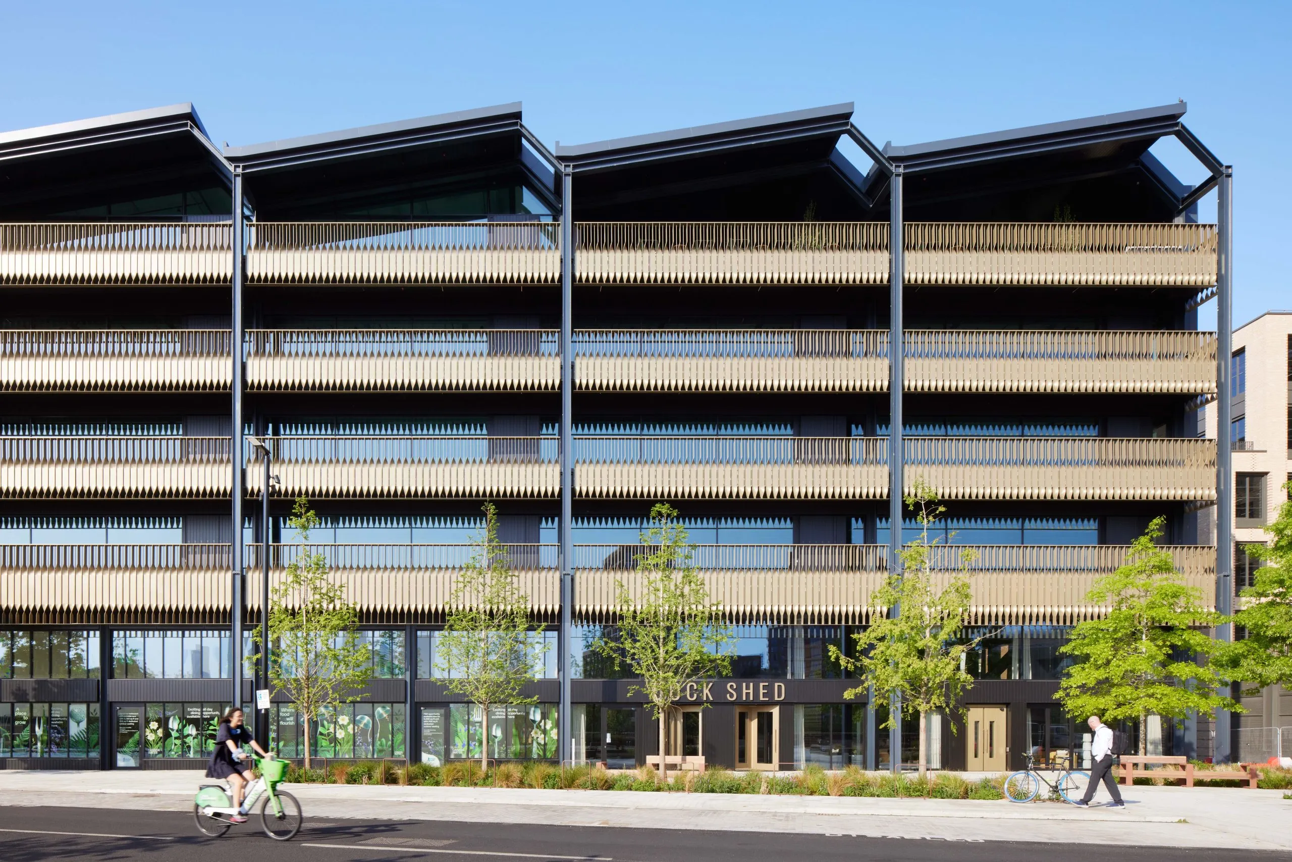 Dock Shed by Allies and Morrison: come on in, the water’s lovely