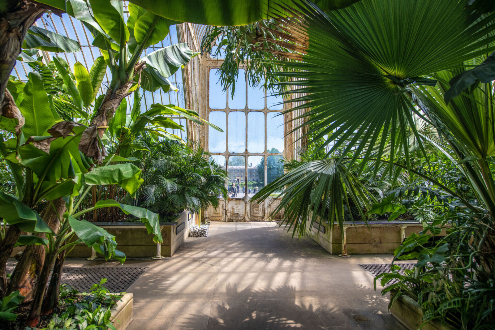 Hugh Broughton unveils plans for £60m Kew Gardens Palm House overhaul
