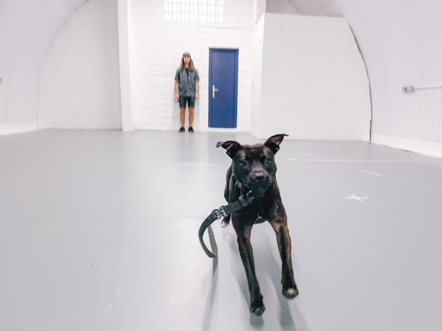 Andy Matthews Studio reveals designs for self-build railway arch bike shop