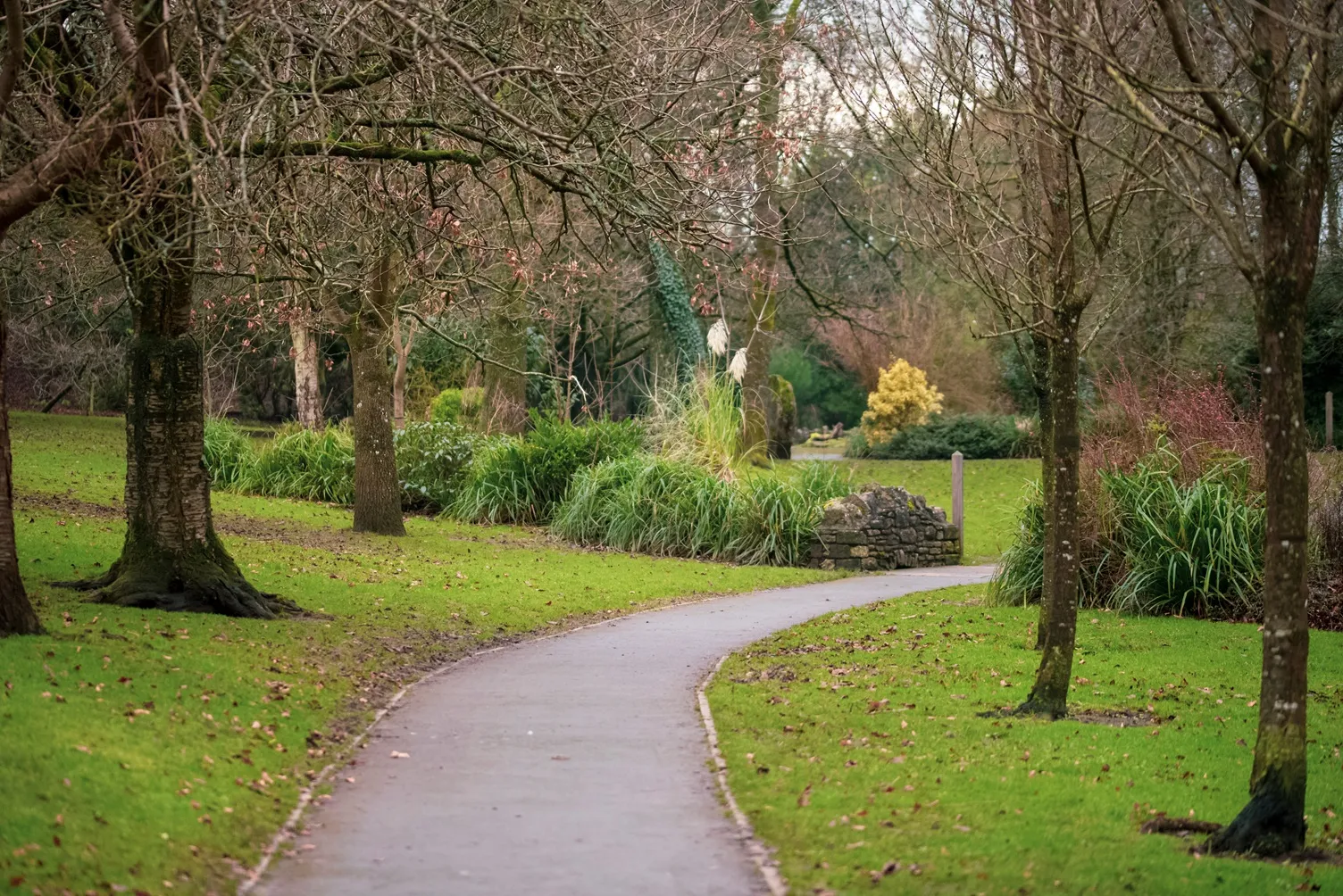 Collett Park Gateway, Shepton Mallet
